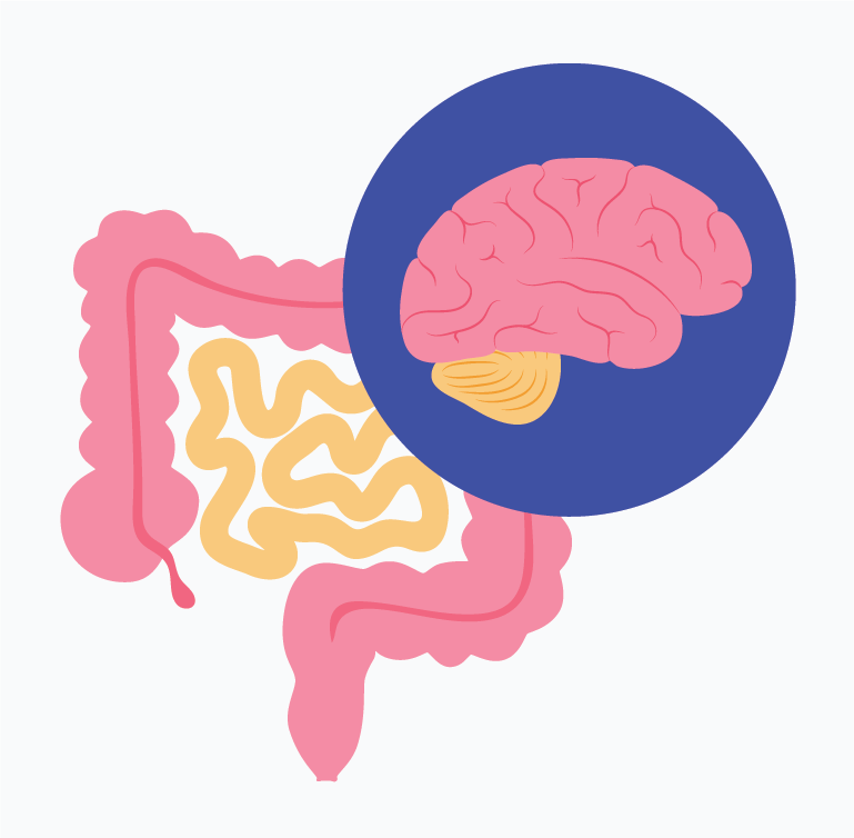 GUT BRAIN AXIS: Your Gut Can Help You Think Too!
